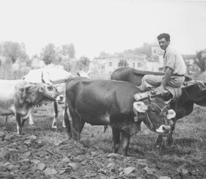 About Us – Stanislaus