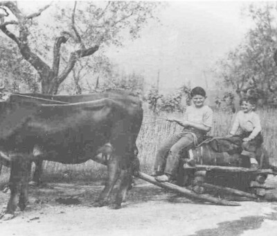 About Us – Stanislaus