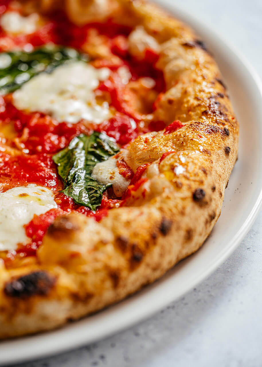 Tomato 101 – Stanislaus
